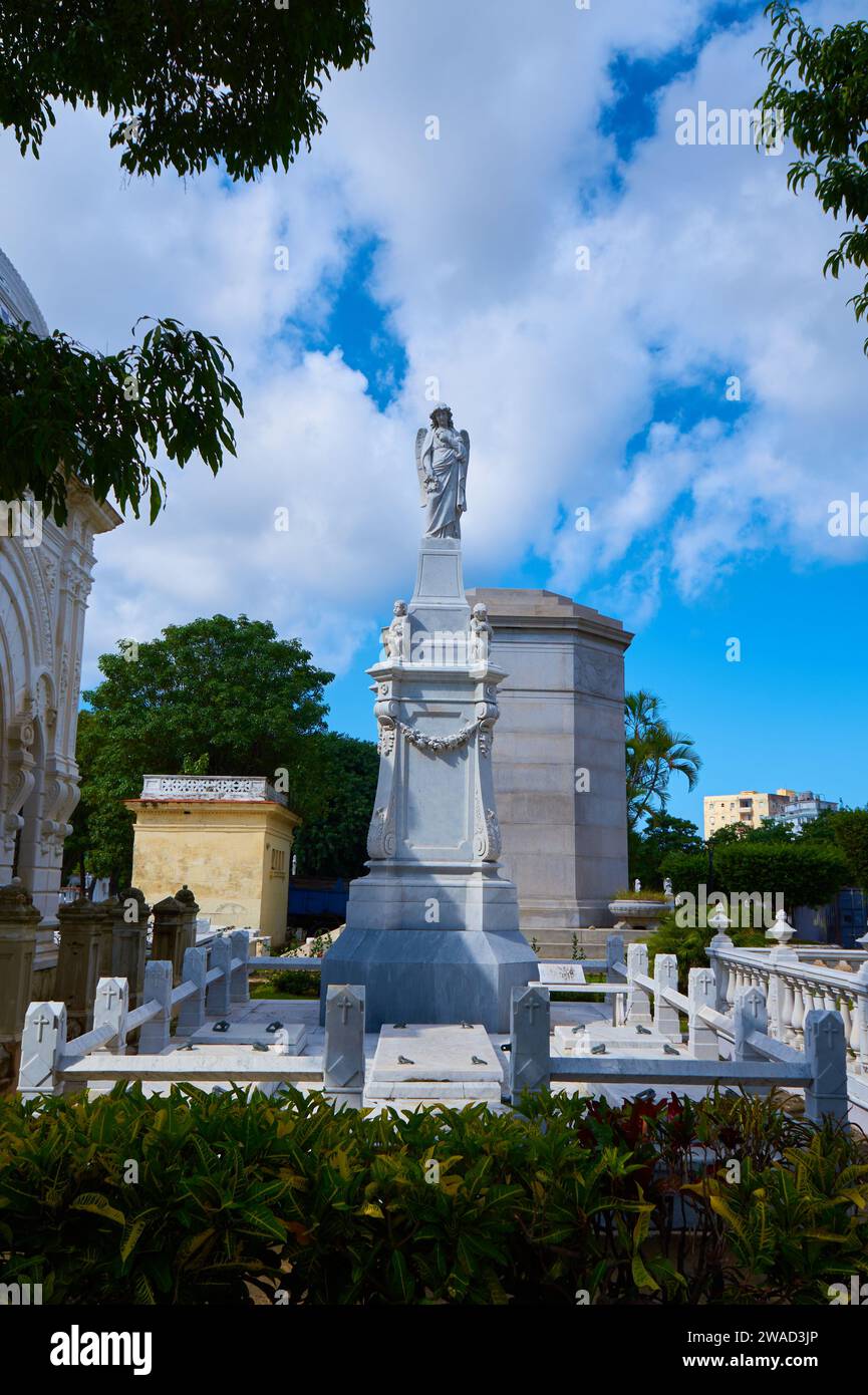COLON CEMETERY, ONE OF THE BIGGEST CEMETERIES IN THE WORLD Stock Photo ...