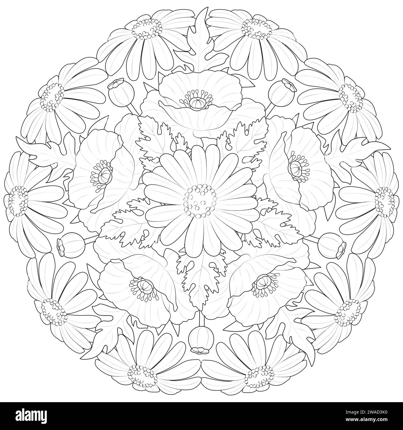 Mandala of spring flowers. chamomiles, poppies in black and white ...