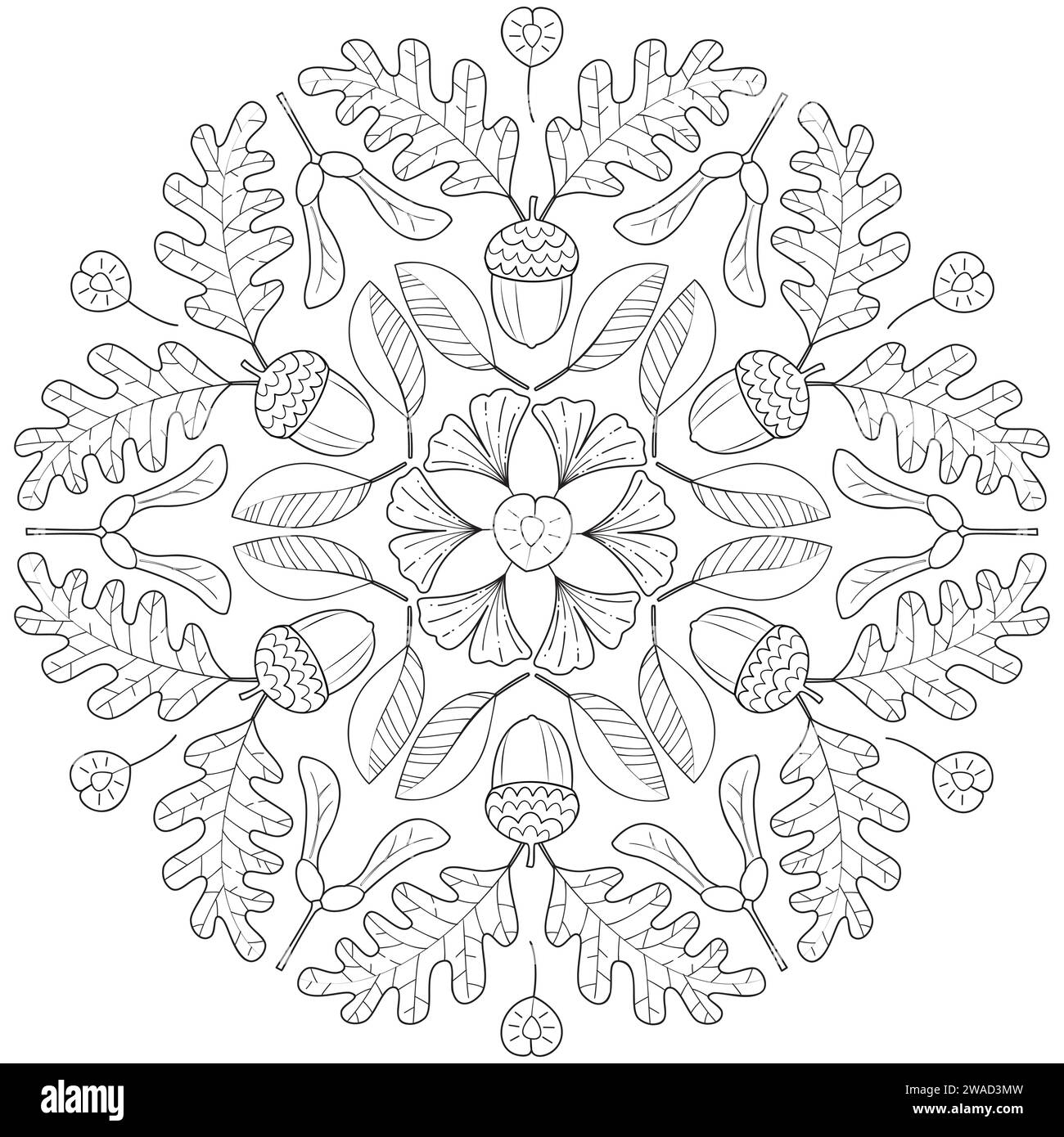 Autumn mandala with autumn leaves on white background. Coloring page ...