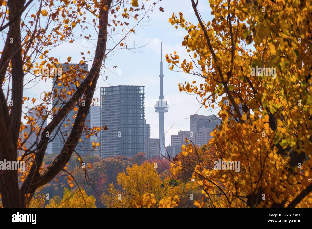 Hazy silhouettes of skyscrapers and CN Tower in Downtown Toronto seen ...