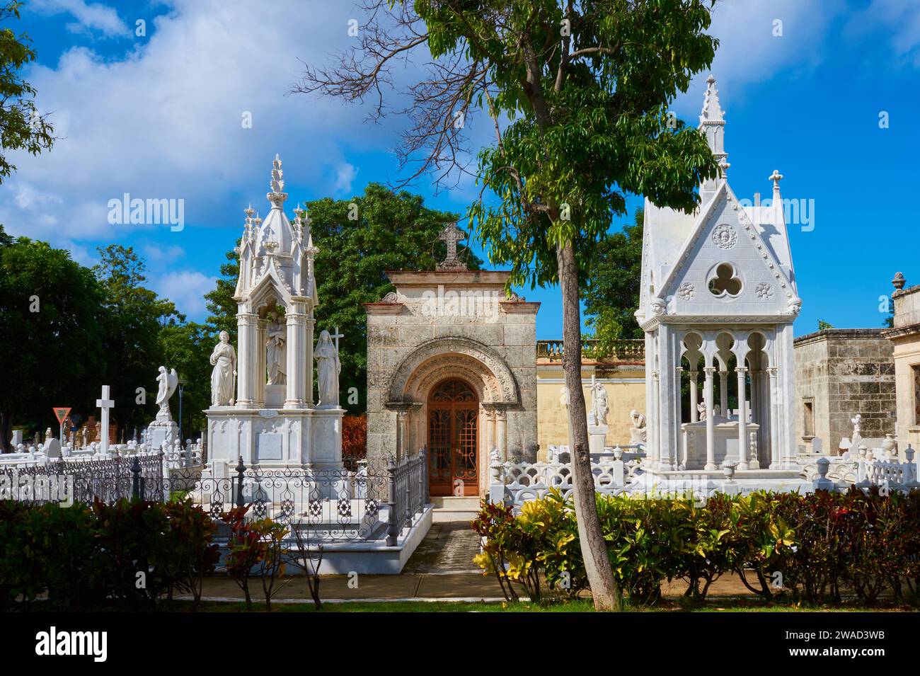 COLON CEMETERY, ONE OF THE BIGGEST CEMETERIES IN THE WORLD Stock Photo ...