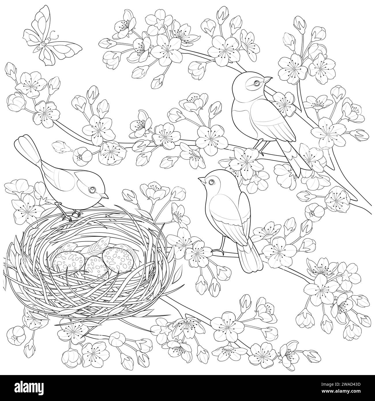 Family birds in a nest, in the branches of a blooming apple tree ...