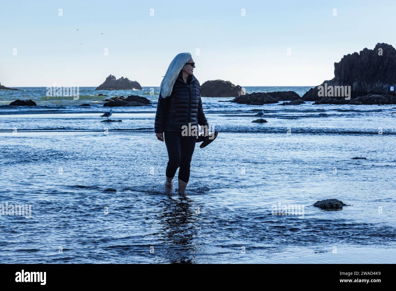 USA, Oregon, Woman wading in ocean at Cannon Beach Stock Photo - Alamy
