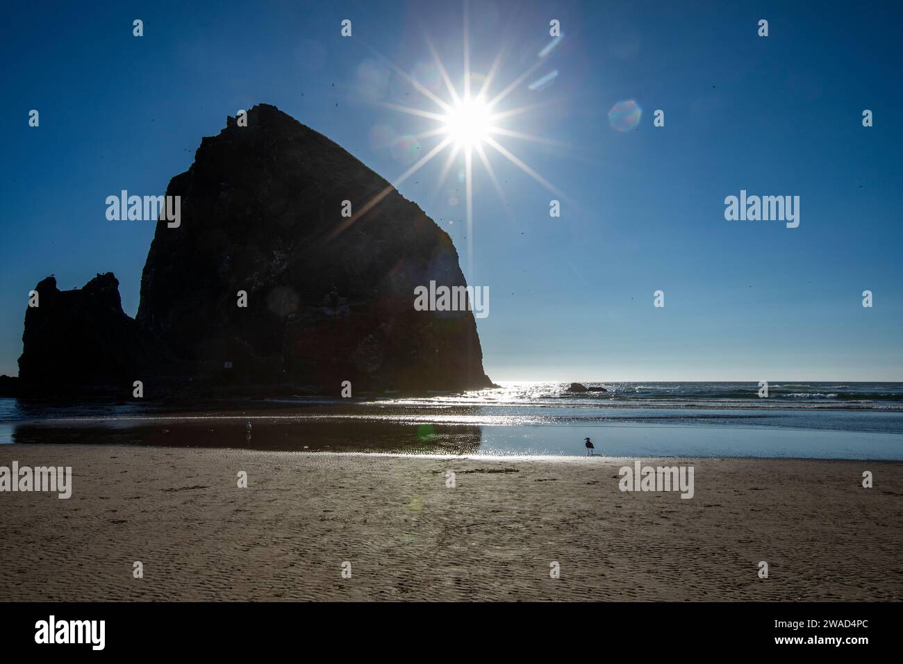 USA, Oregon, Silhouette of Haystack Rock at Cannon Beach Stock Photo ...