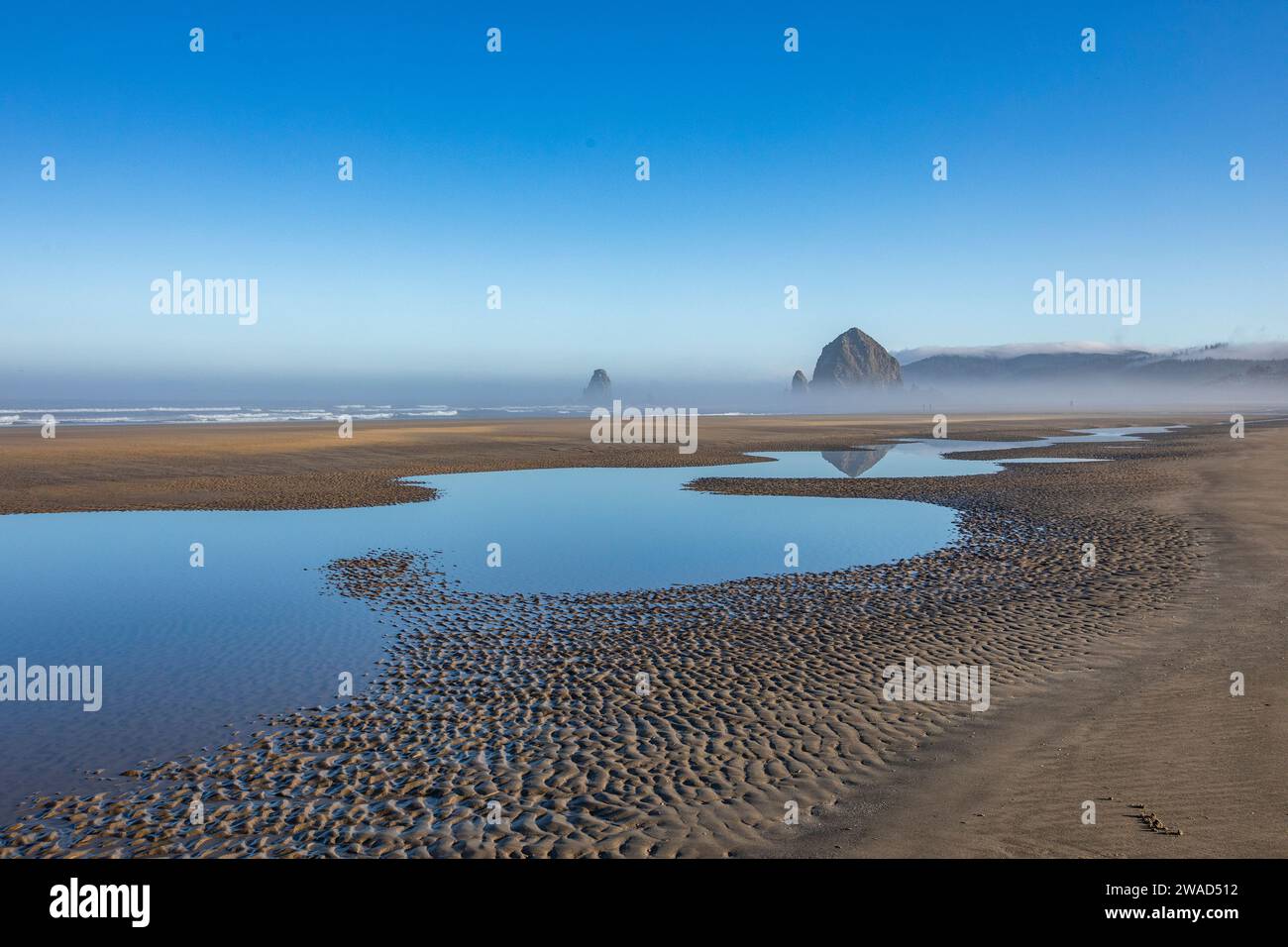 USA, Oregon, Shallow pools of water at sandy Cannon Beach Stock Photo ...