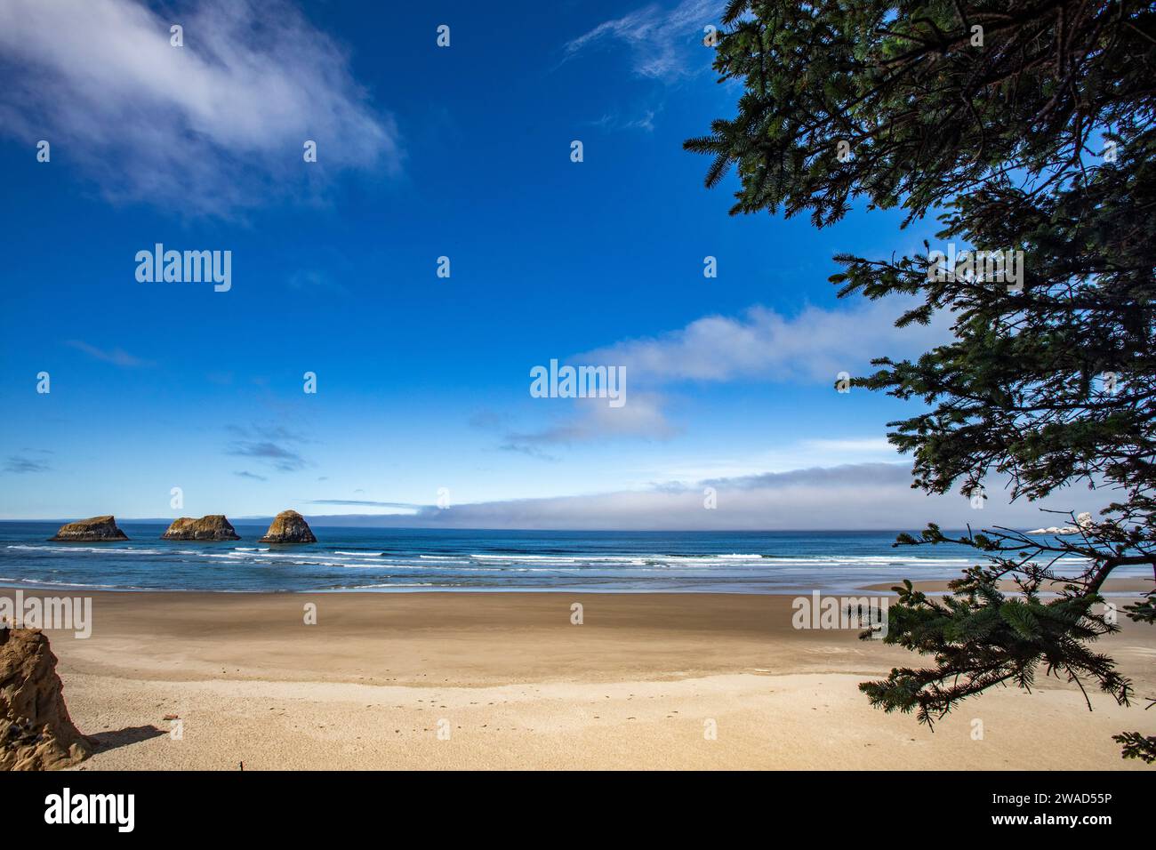 USA, Oregon, Rock formations at Cannon Beach Stock Photo - Alamy