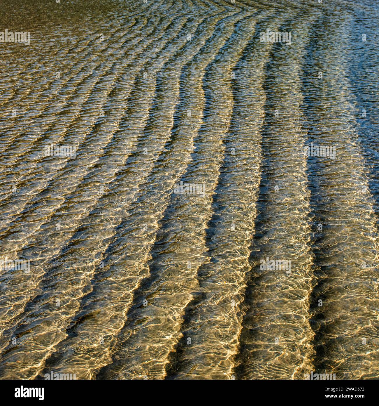Ridges in sand hi-res stock photography and images - Alamy