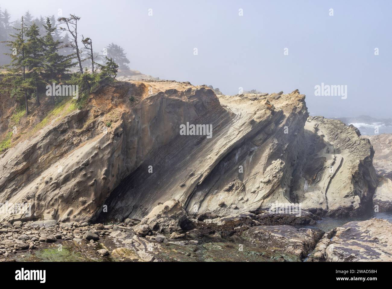 USA, Oregon, Coos Bay, Landscape with rock formations along coast Stock ...
