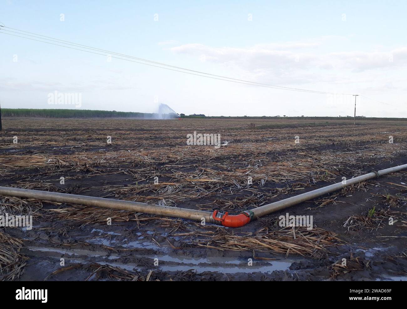 Maceió, Brazil, October 5, 2023. Soil irrigation system for sugarcane ...