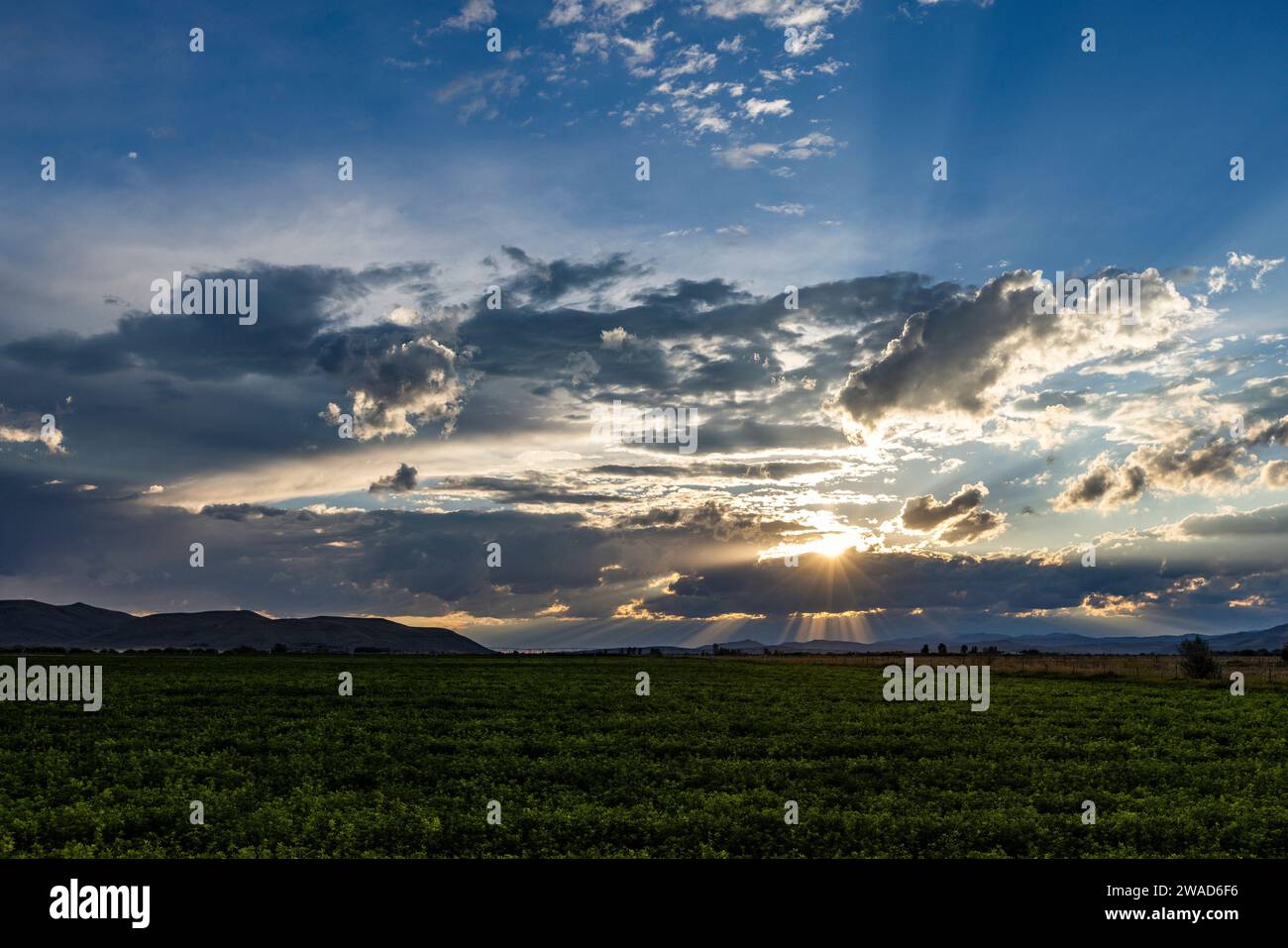 Cloudy summer sunset over hi-res stock photography and images - Alamy