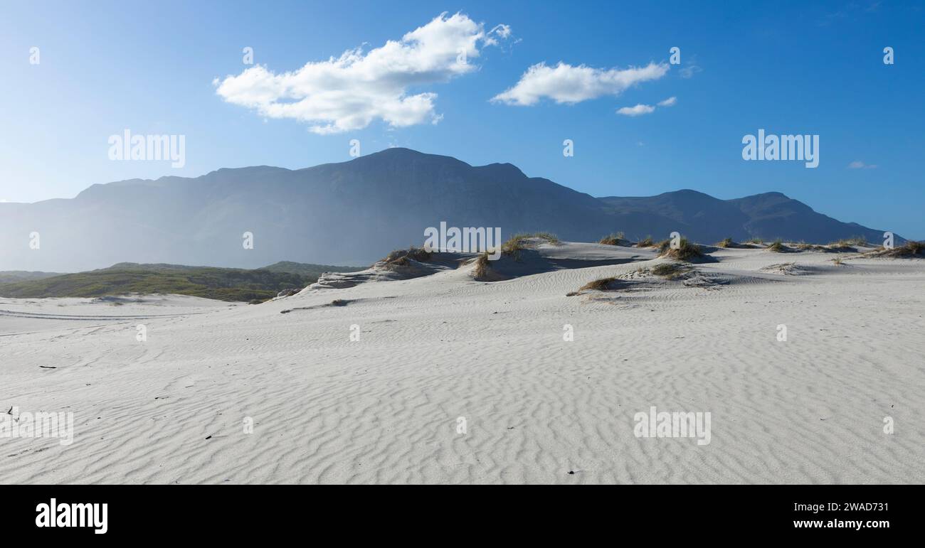 South Africa, Hermanus, Sandy landscape in Walker Bay Nature Reserve ...