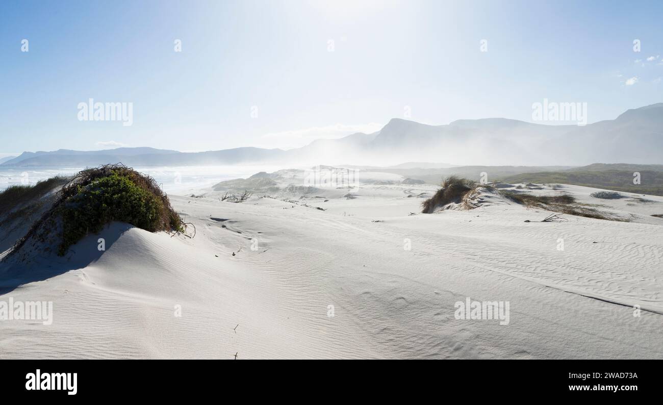 South Africa, Hermanus, Sandy beach in Walker Bay Nature Reserve Stock ...