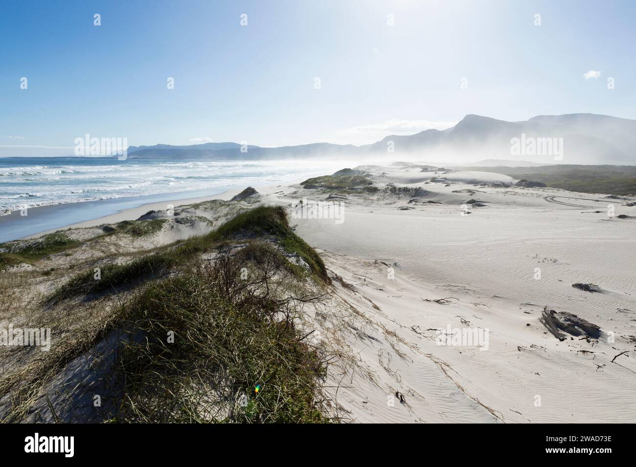 South Africa, Hermanus, Sandy beach in Walker Bay Nature Reserve Stock ...
