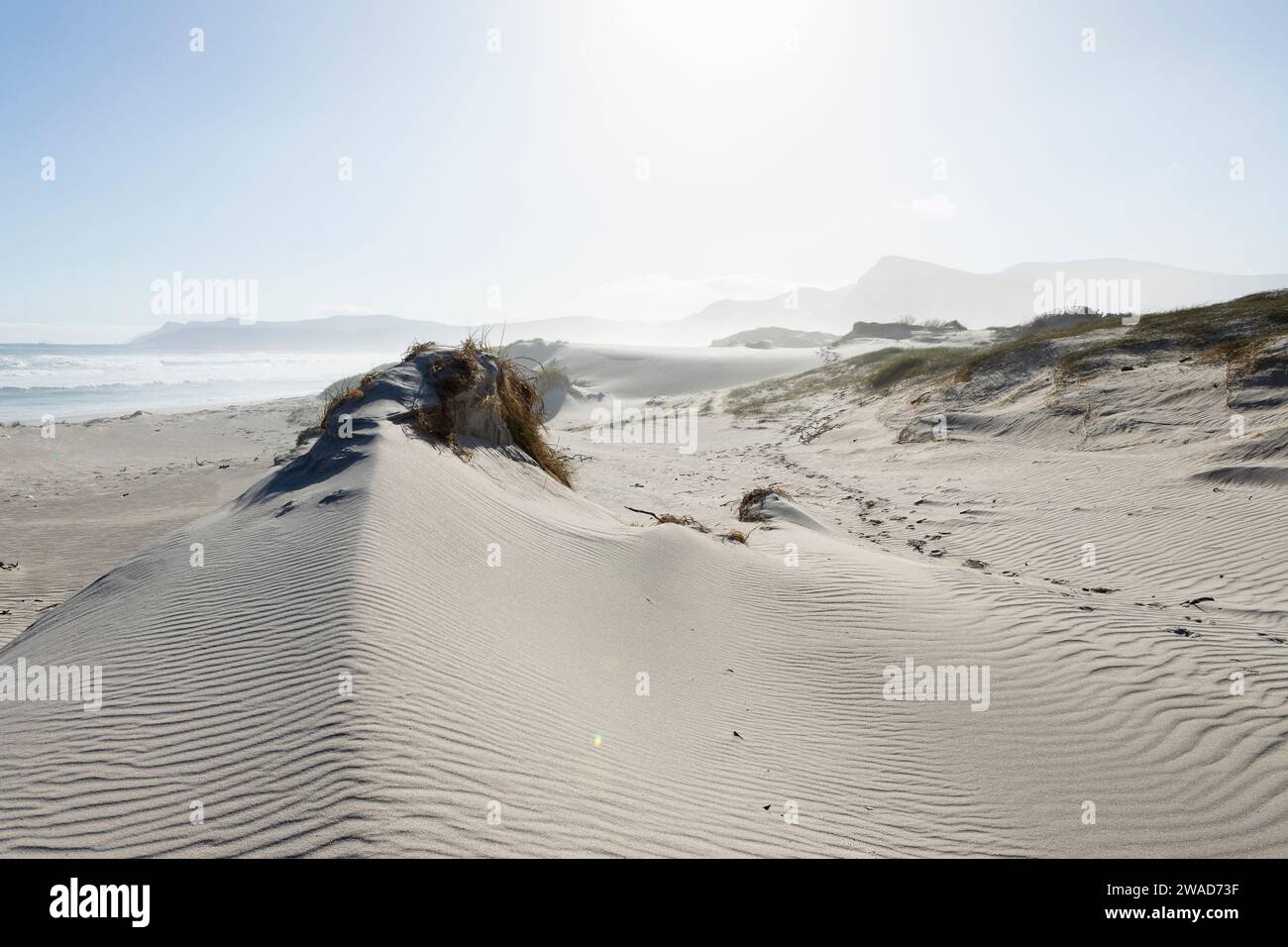 Sandy beach in Walker Bay Nature Reserve Stock Photo - Alamy