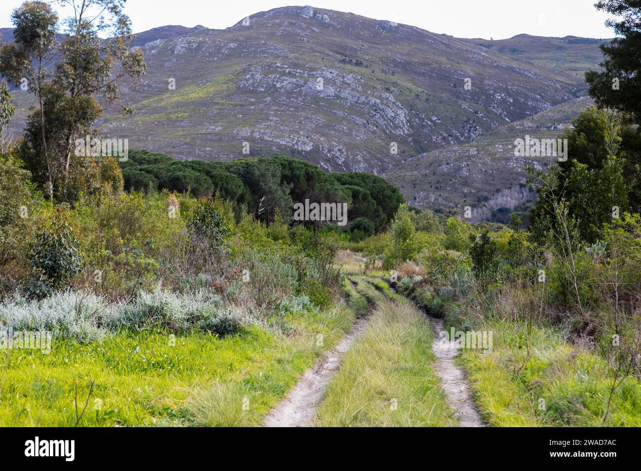 South Africa, Hiking trail in Stanford Valley Stock Photo - Alamy