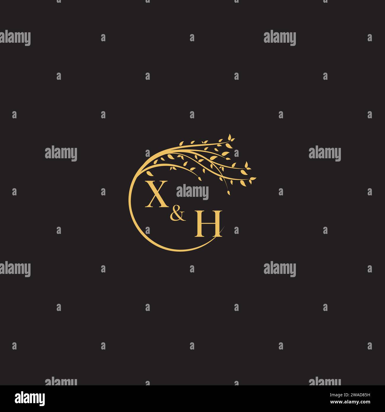 Xh vector hi-res stock photography and images - Alamy