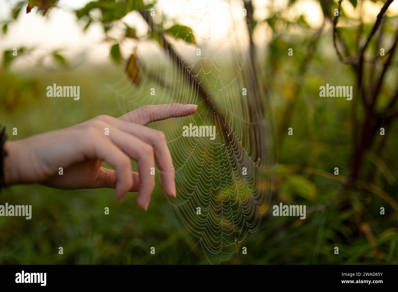 Woman spider hand hi-res stock photography and images - Alamy