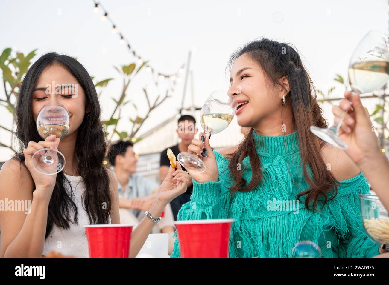 Group of attractive young Asian female friends are toasting champagne ...