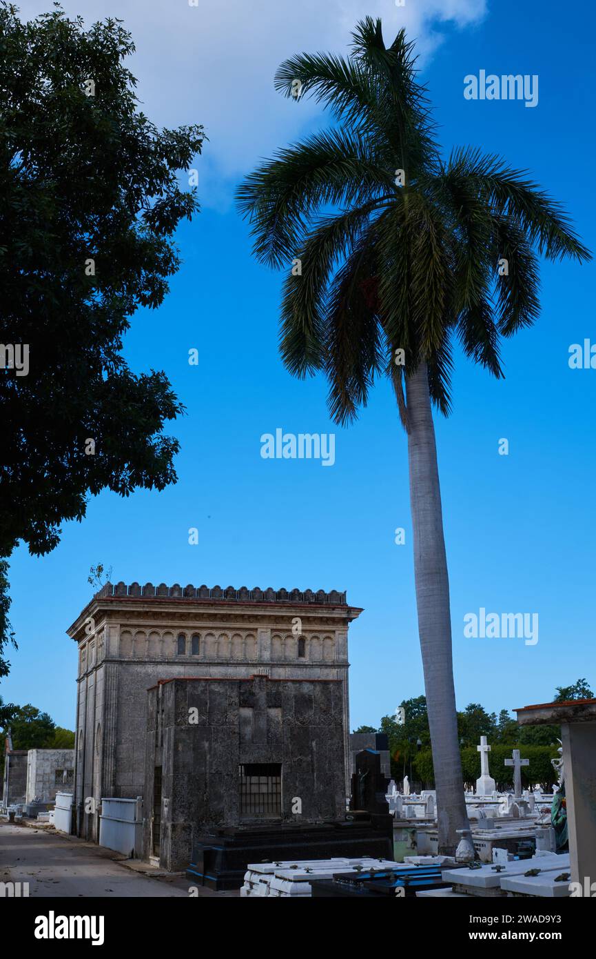 COLON CEMETERY, ONE OF THE BIGGEST CEMETERIES IN THE WORLD Stock Photo ...