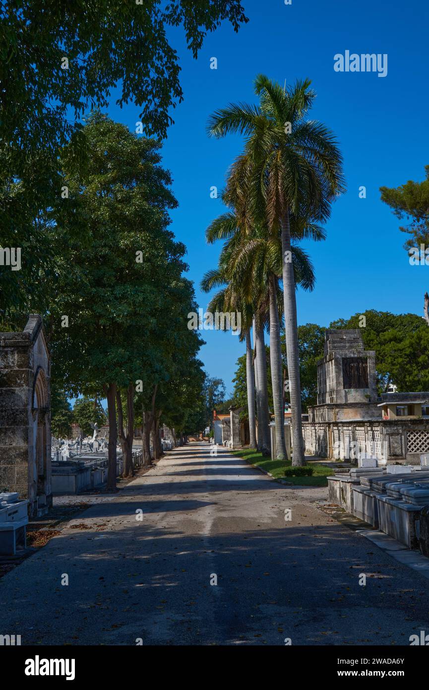COLON CEMETERY, ONE OF THE BIGGEST CEMETERIES IN THE WORLD Stock Photo ...