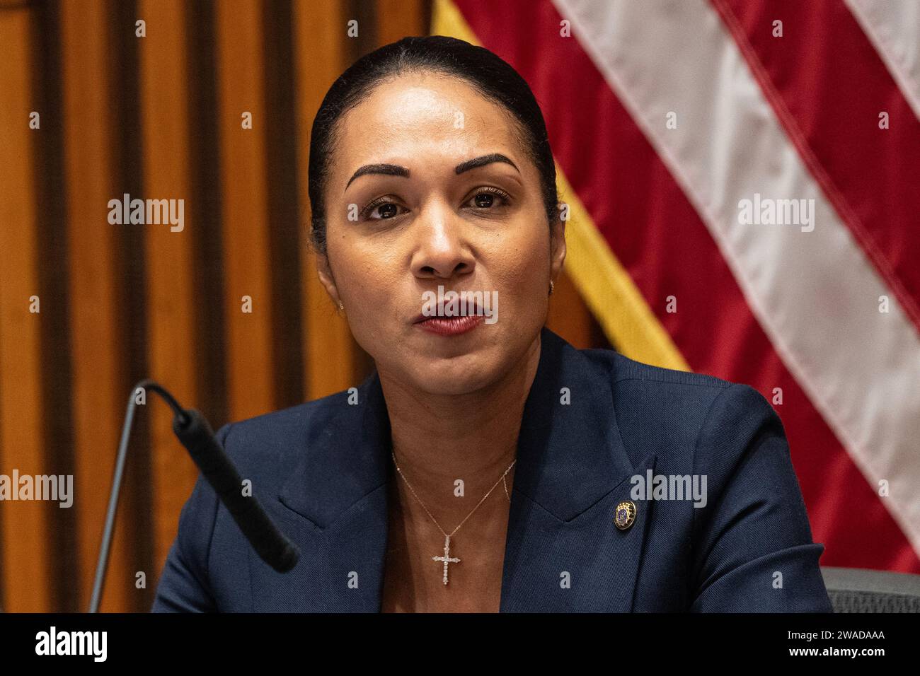 New York, USA. 03rd Jan, 2024. First Deputy Police Commissioner Tania ...
