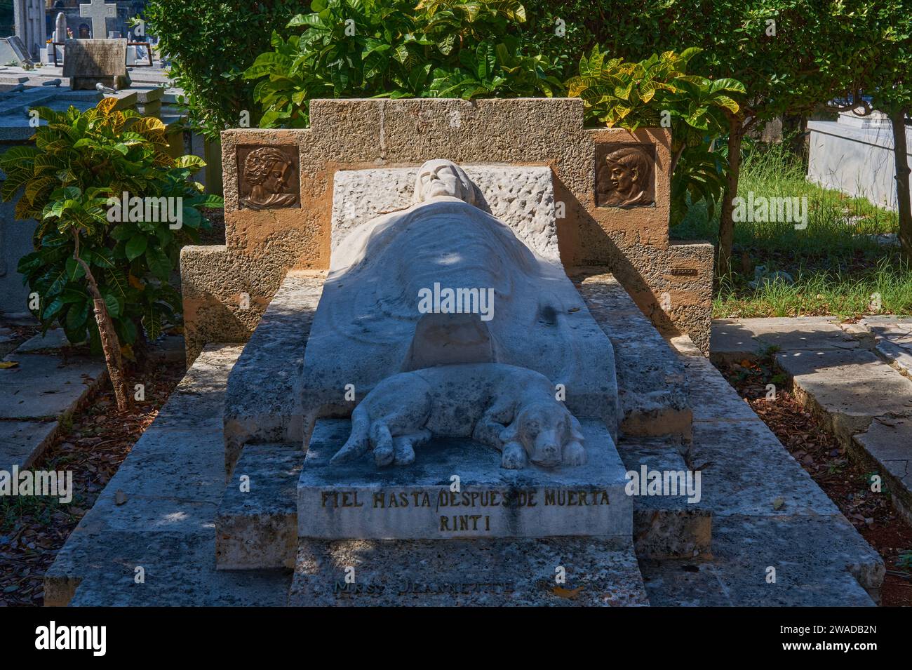 COLON CEMETERY, ONE OF THE BIGGEST CEMETERIES IN THE WORLD Stock Photo ...