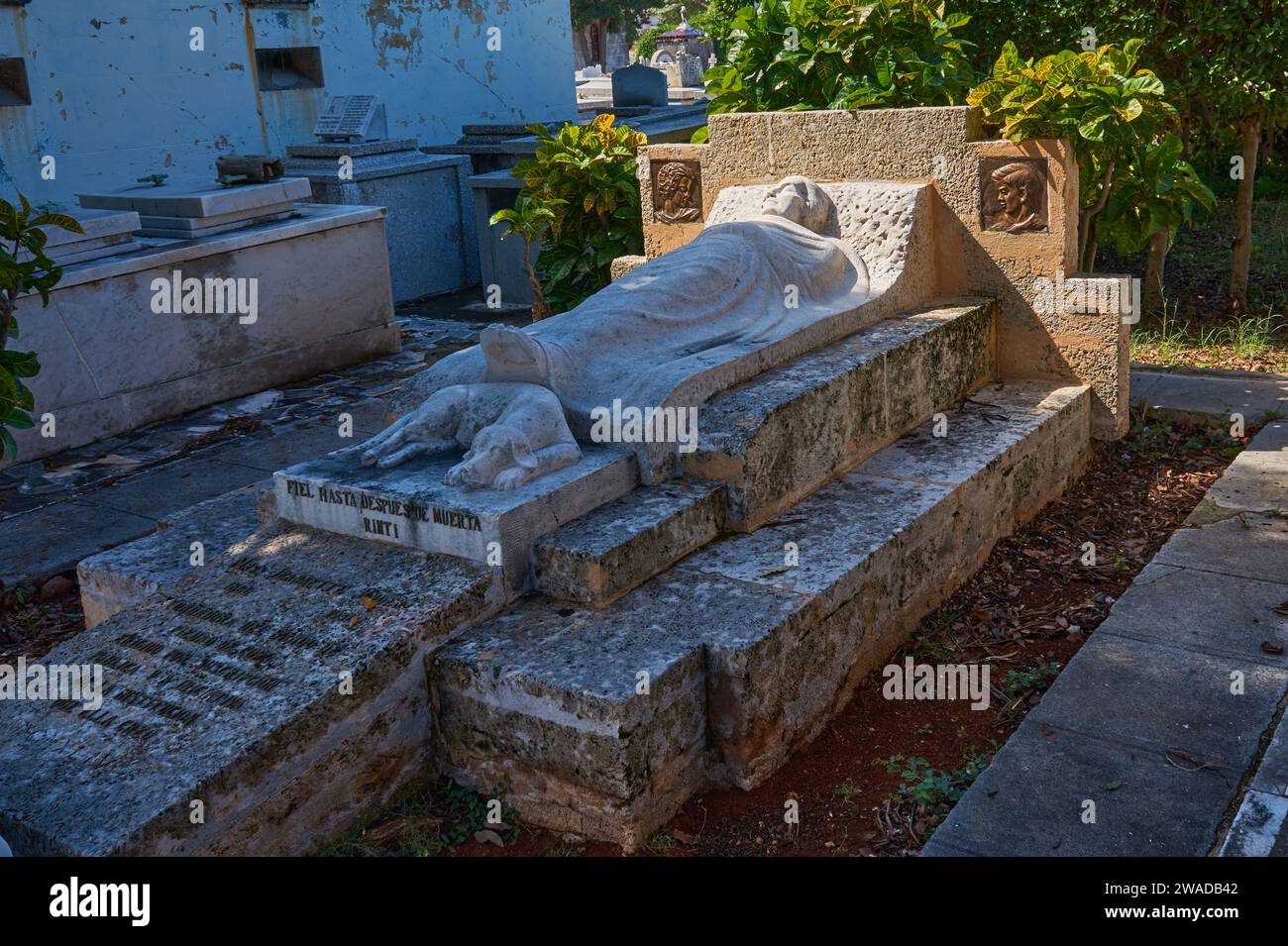 COLON CEMETERY, ONE OF THE BIGGEST CEMETERIES IN THE WORLD Stock Photo ...