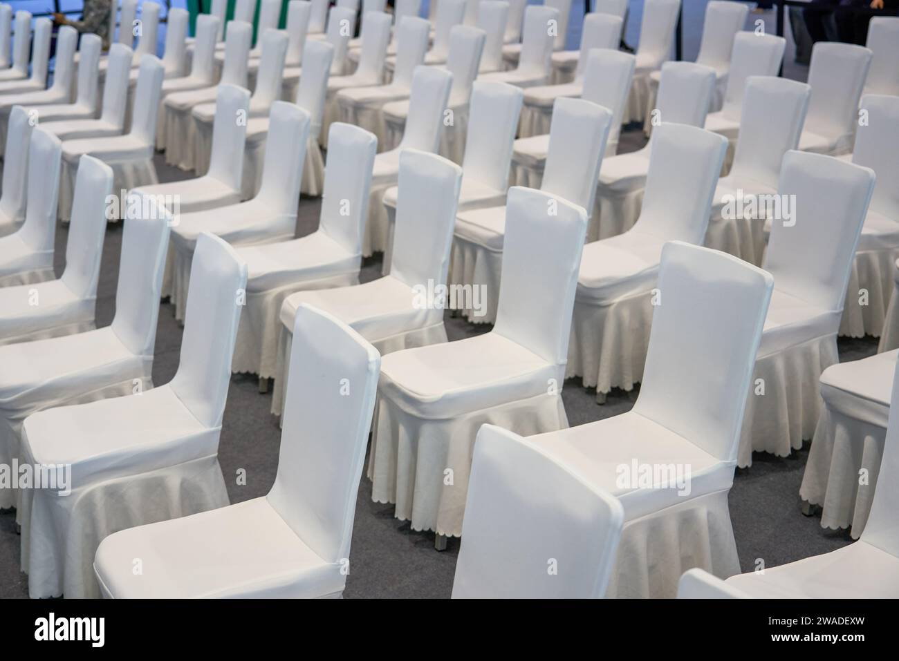 Close-up of white satin chair seats for large business meeting Stock ...