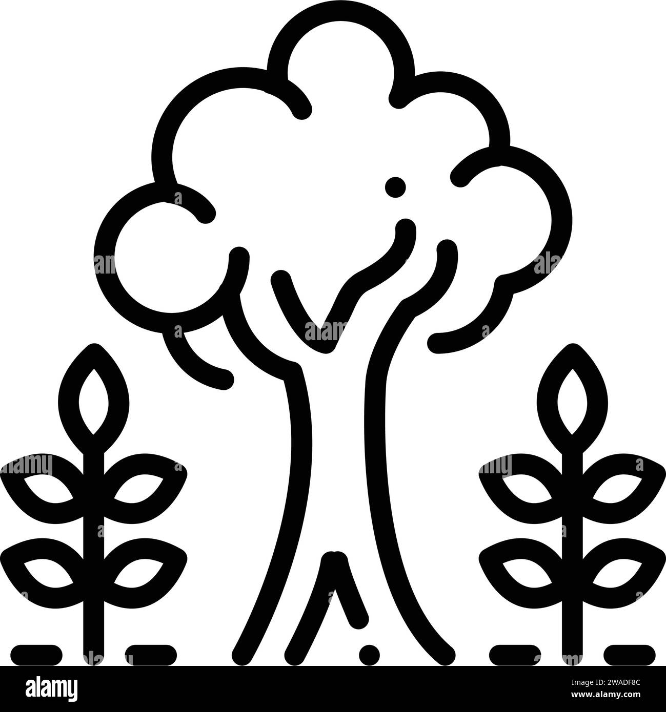 Maturity plant Stock Vector Images - Alamy