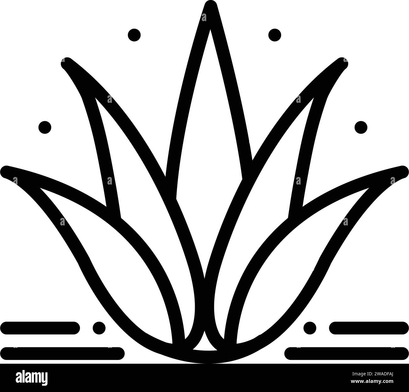 Agave plant icon Black and White Stock Photos & Images - Alamy