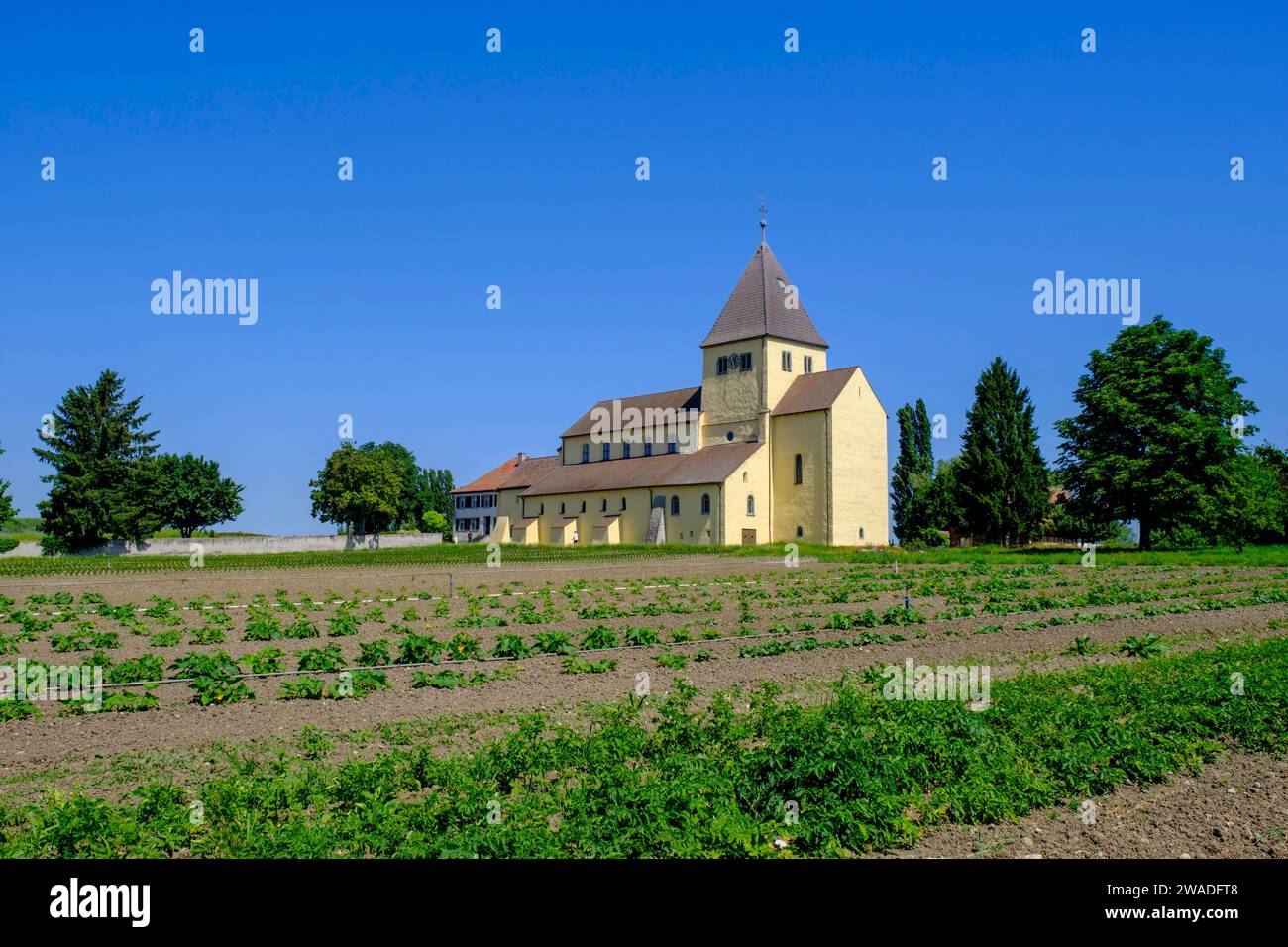 Vegetable fields in front of St George's parish church, UNESCO World ...