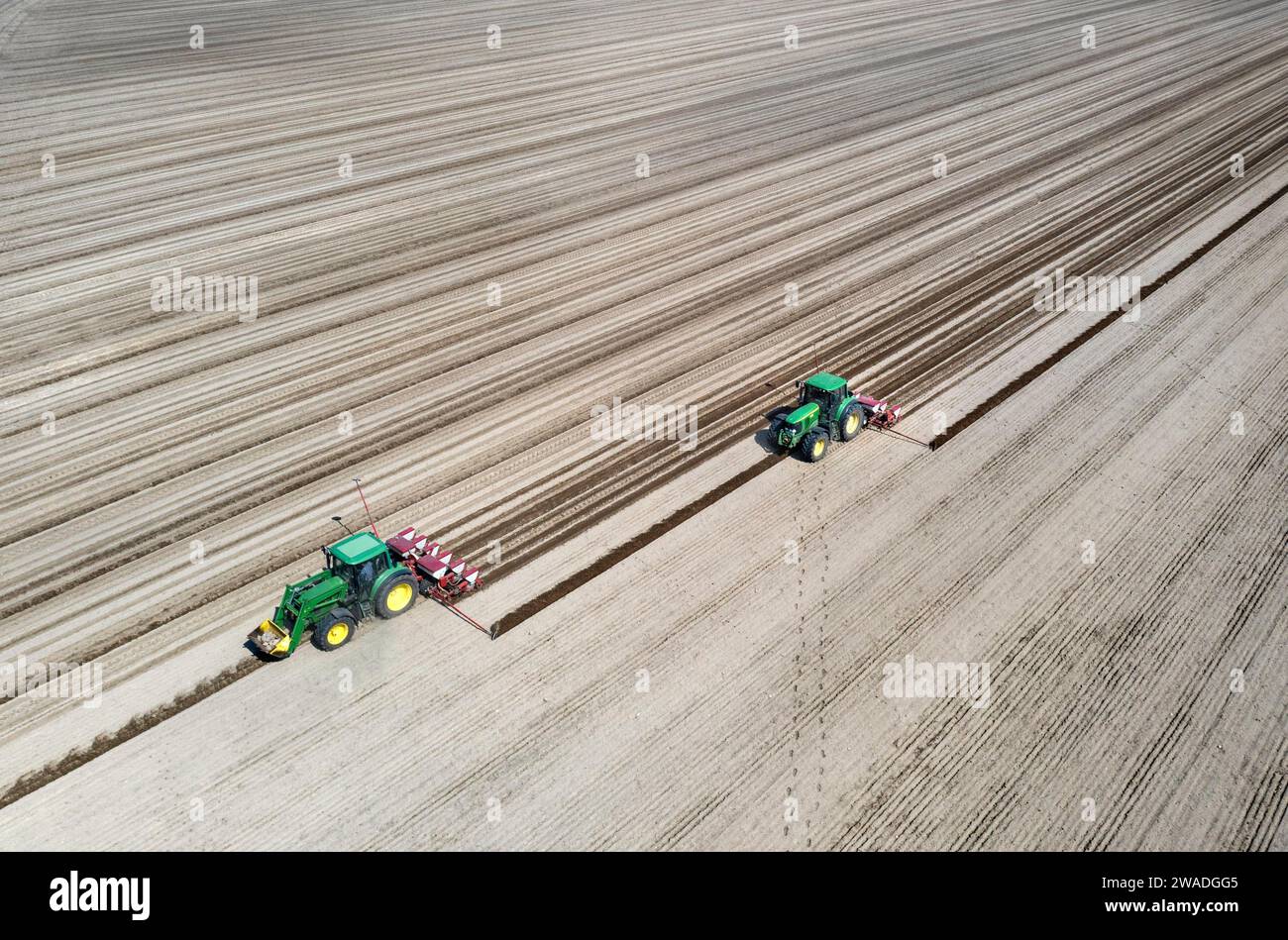 Sowing sunflower seed hi-res stock photography and images - Alamy