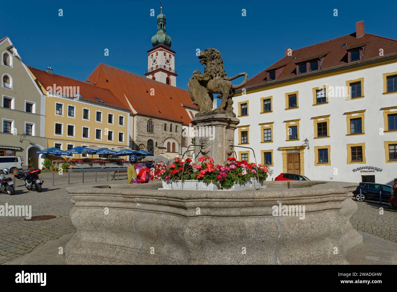 Fountain with lion statue and red flowers in the foreground, historic ...