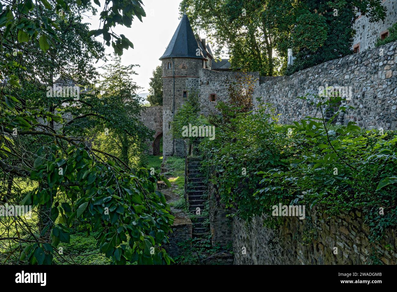 Castle gate, south gate of the medieval Friedberg castle, moat, deer ...