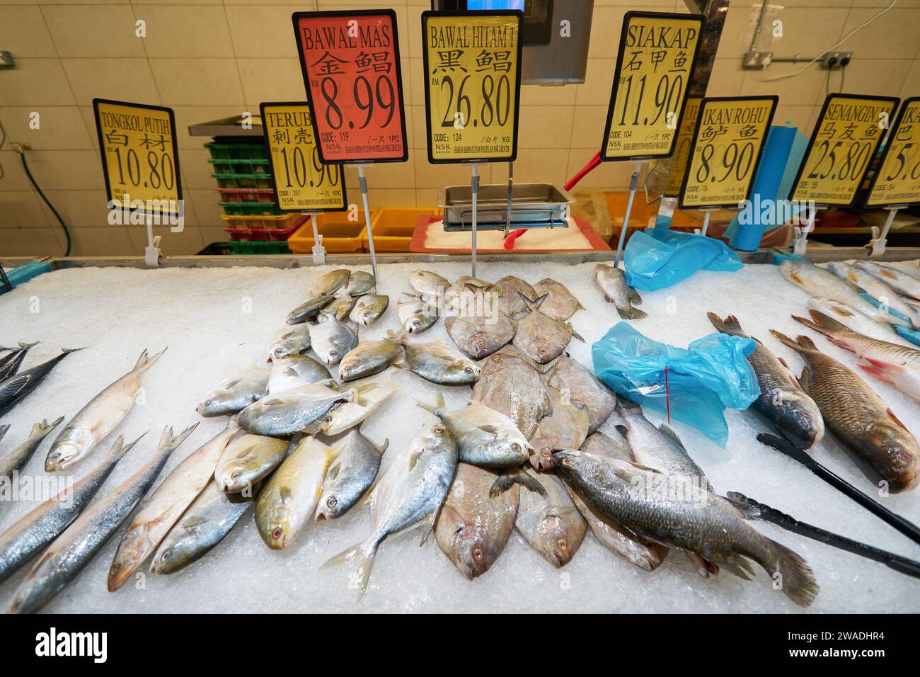 KUALA LUMPUR, MALAYSIA - MAY 26, 2023: chilled fish on display at NSK ...