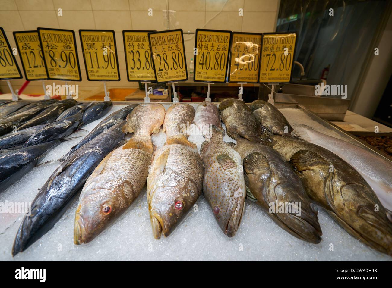 KUALA LUMPUR, MALAYSIA - MAY 26, 2023: chilled fish on display at NSK ...