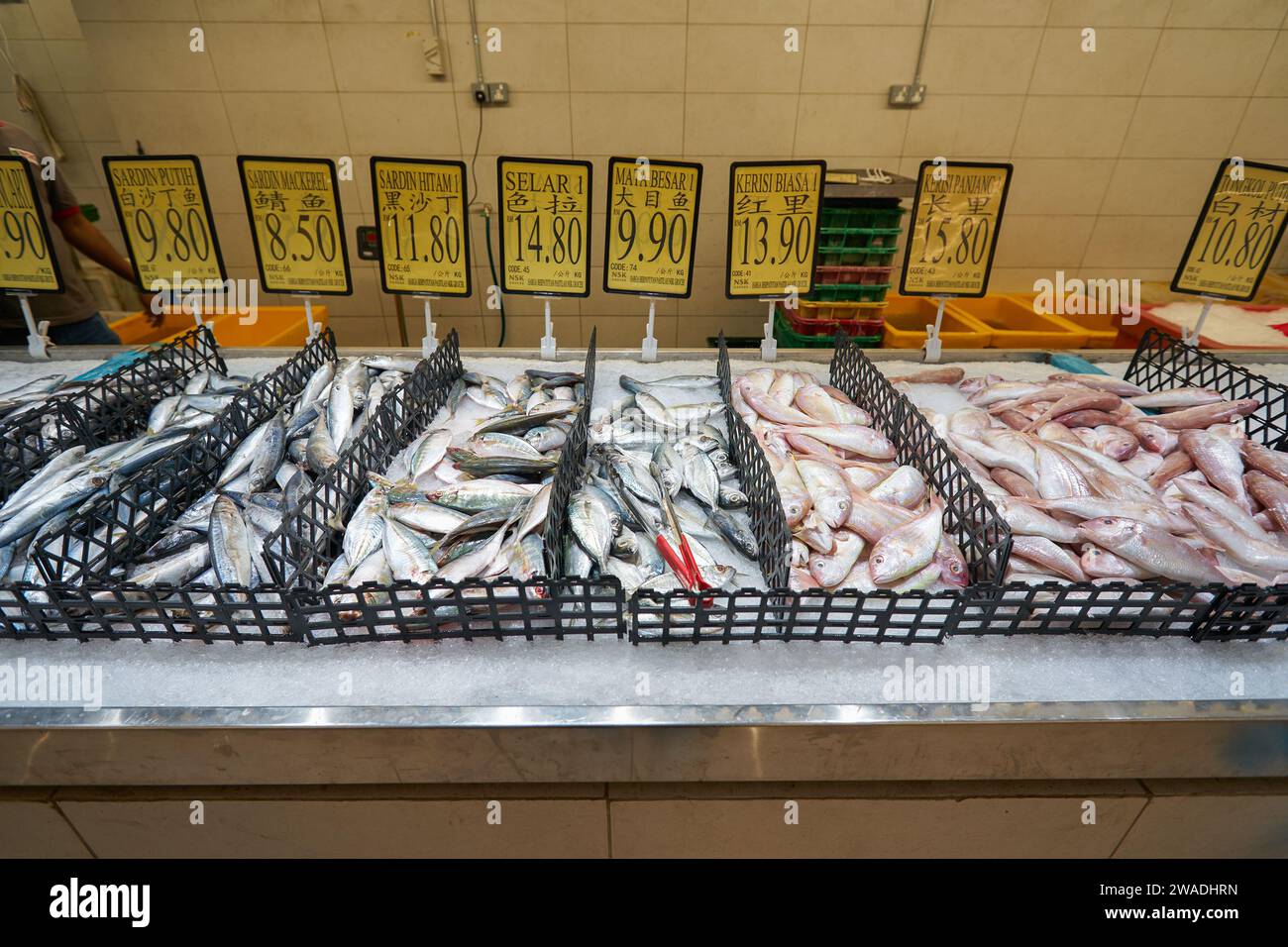 KUALA LUMPUR, MALAYSIA - MAY 26, 2023: chilled fish on display at NSK ...