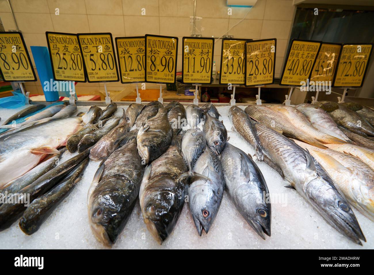KUALA LUMPUR, MALAYSIA - MAY 26, 2023: chilled fish on display at NSK ...