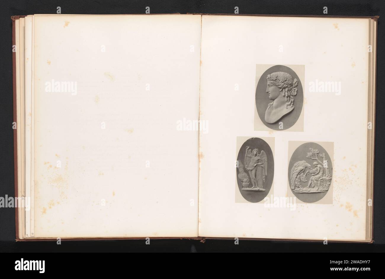 Jupiter in 1873 hi-res stock photography and images - Alamy