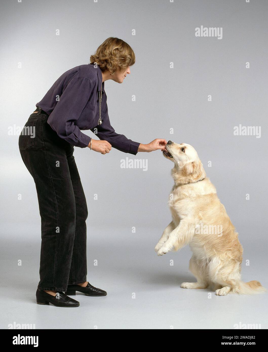 LARGE DOG BEING REWARDED WITH DOG TREAT Stock Photo - Alamy
