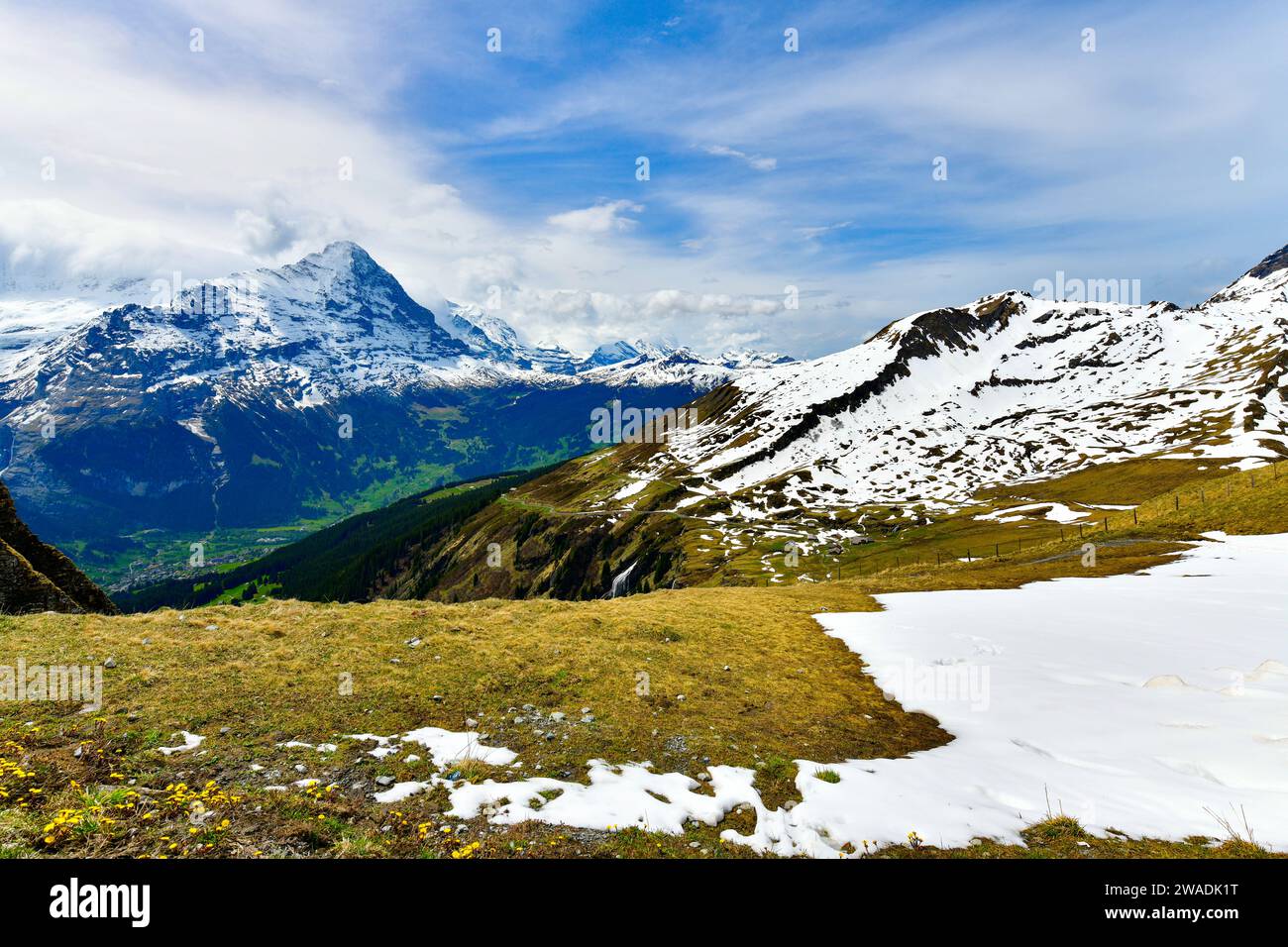 ฺBeautiful landscape alpine view in summer mountains around Grindelwald ...