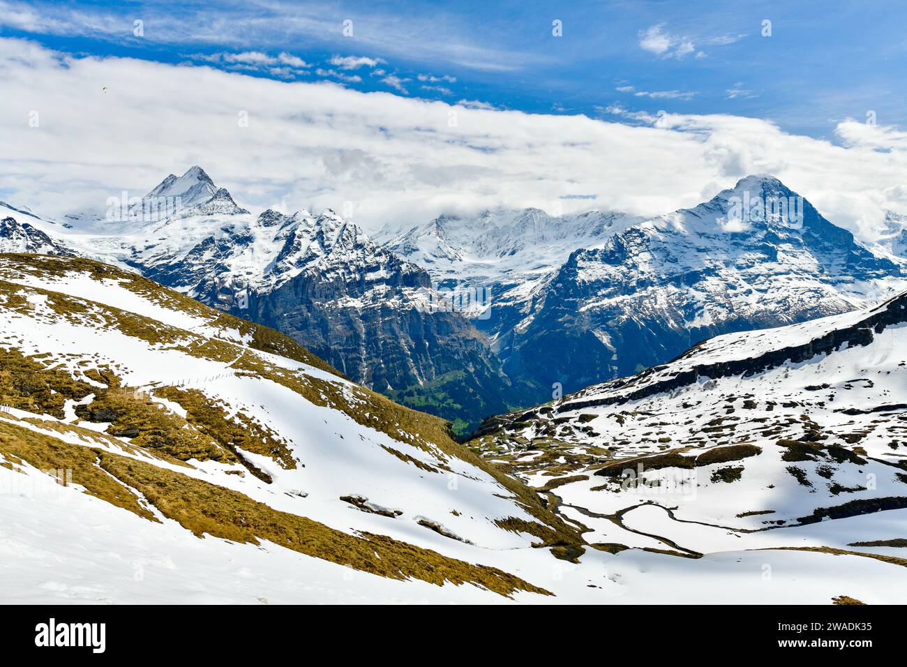 Grindelwald switzerland hi-res stock photography and images - Alamy