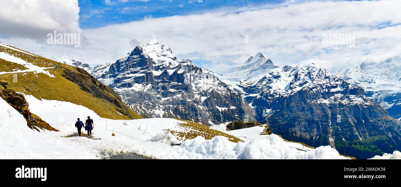Scene with hikers walking along the alpine paths of the Bachalpsee Lake ...