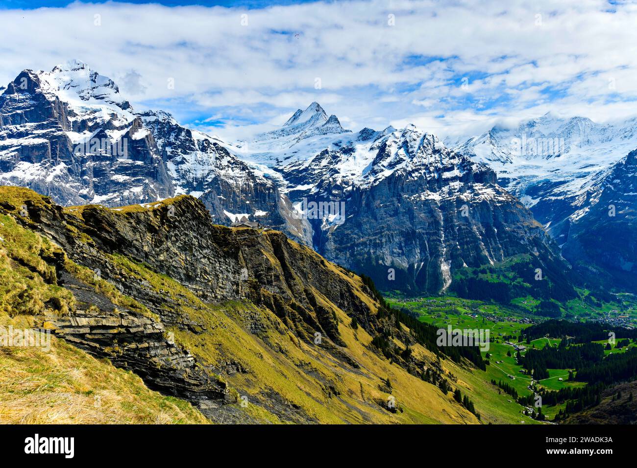 ฺBeautiful landscape alpine view in summer mountains around Grindelwald ...