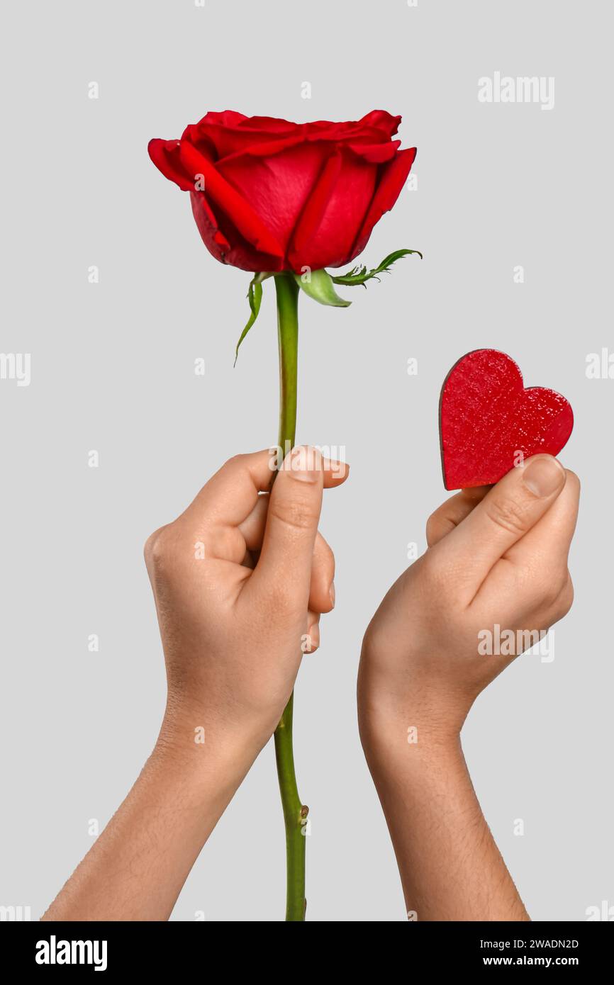 Female hands with beautiful red rose and heart on white background ...