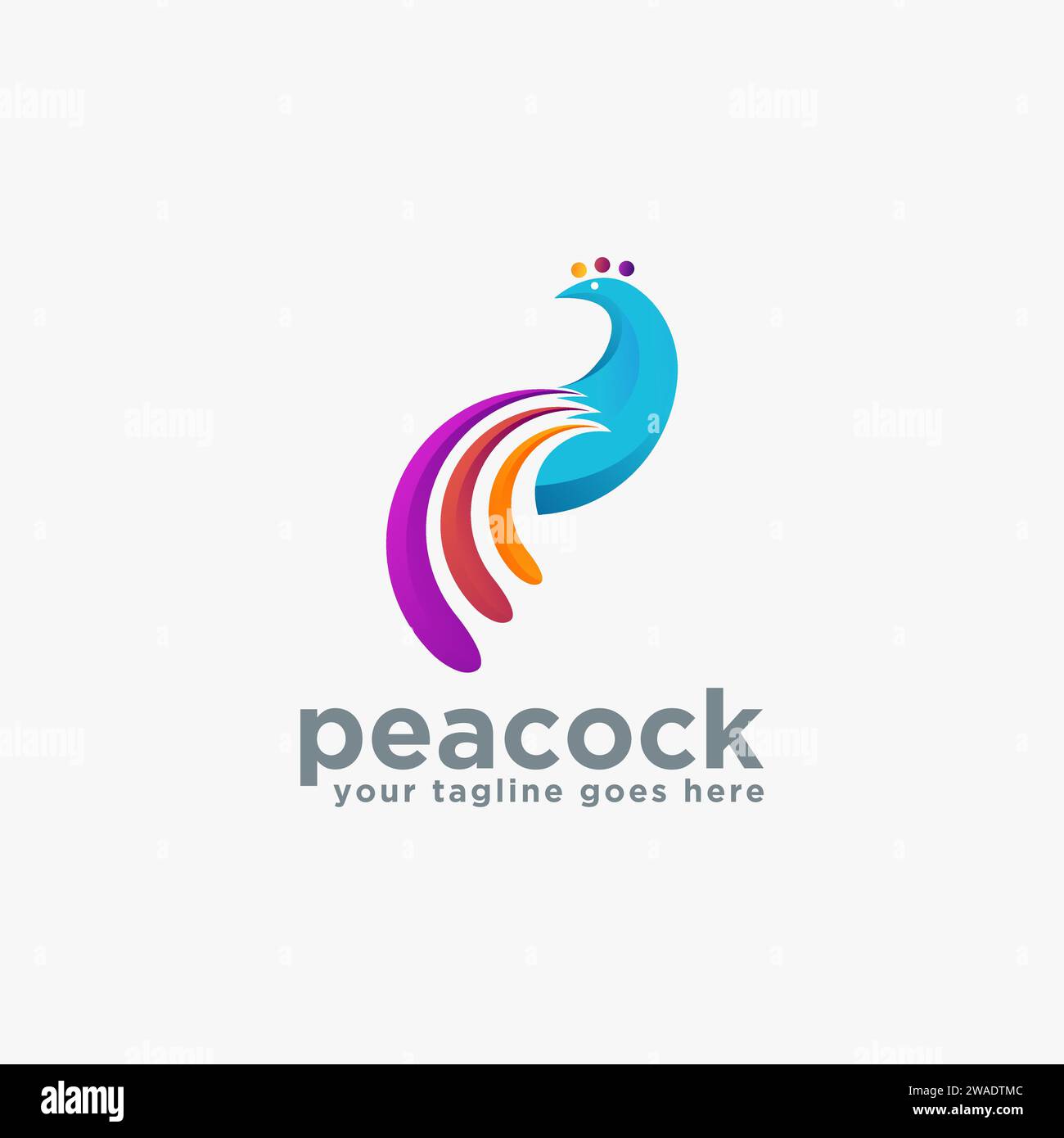 Abstract modern colorful peacock logo icon vector template on white ...