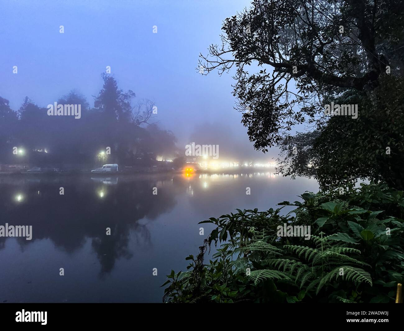 Scenic view of the kodaikanal lake post sunset with fog cover. Focus ...