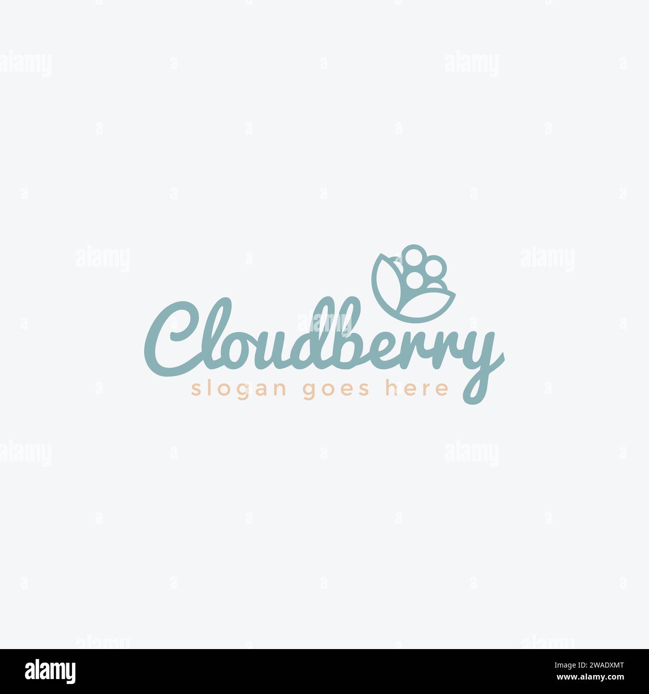 Minimalist wordmark cloudberry logo vector template on white background ...