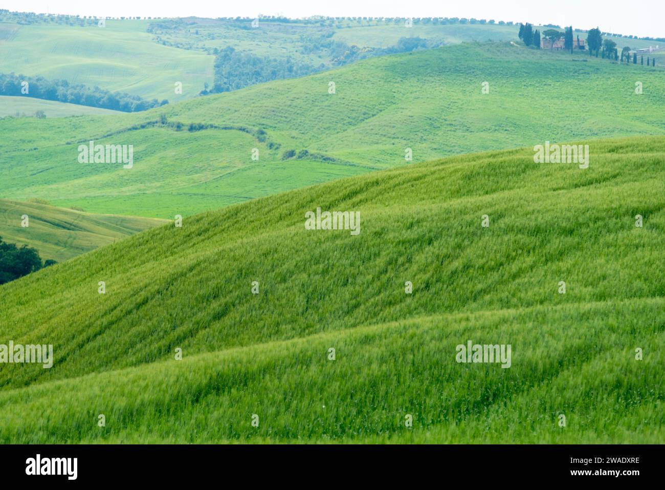 Italian farmland with rolling hills hi-res stock photography and images - Alamy
