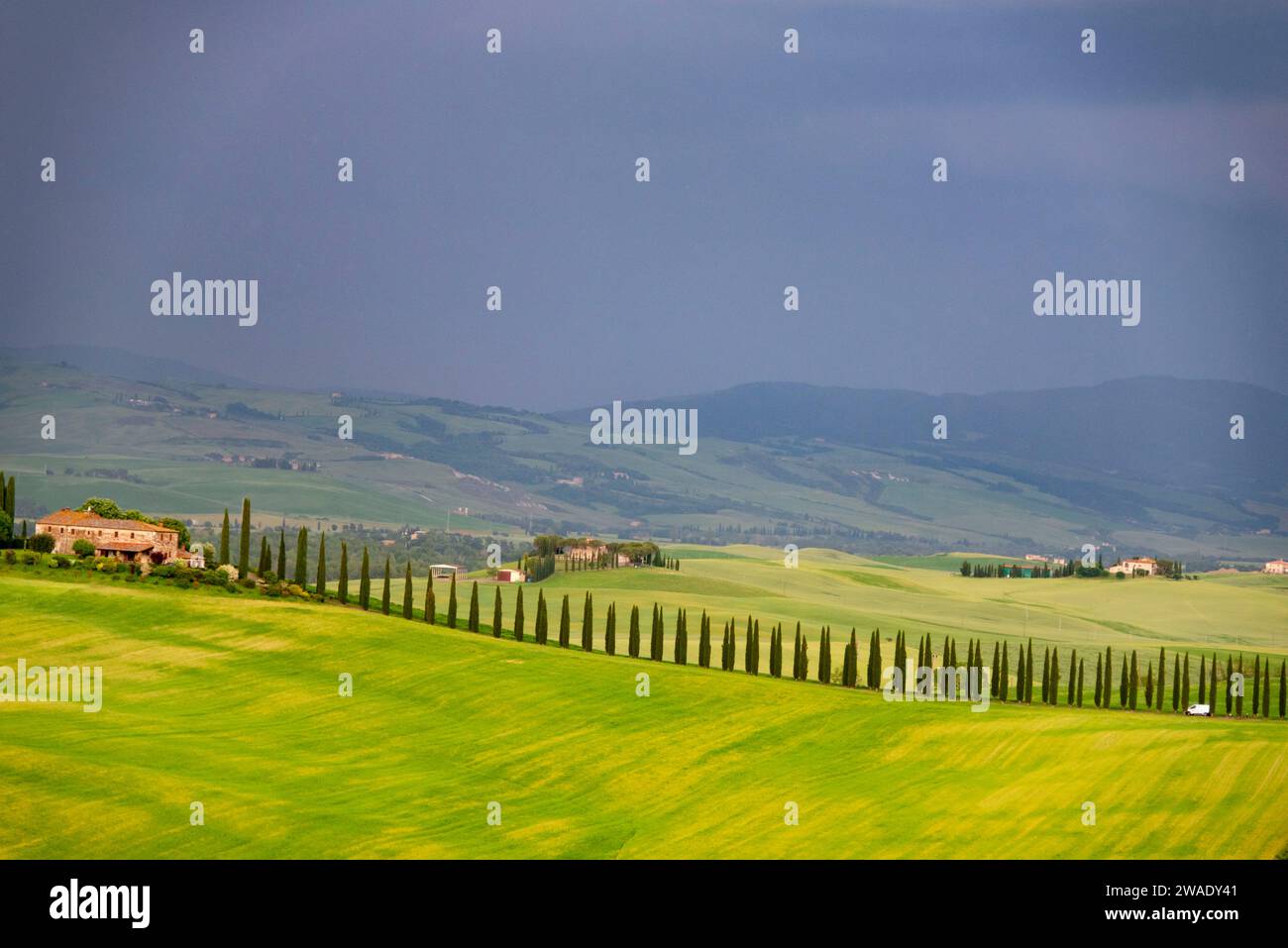 Rolling Hills of Tuscany - Italy Stock Photo - Alamy